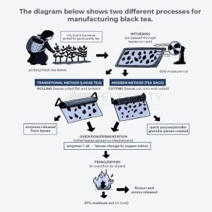 Hướng dẫn cách viết IELTS Writing Task 1 chi tiết cho người mới bắt đầu