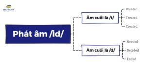 3 Quy tắc phát âm đuôi ED trong tiếng Anh bằng câu thần chú
