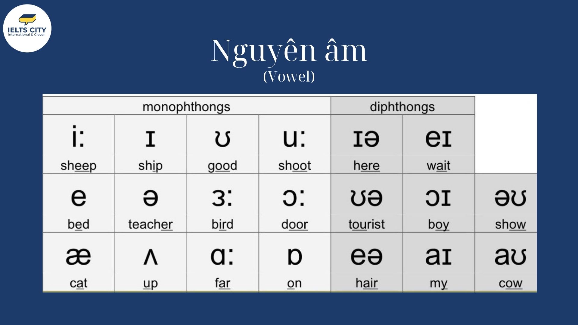 Bảng phiên âm IPA là gì? Cách đọc bảng IPA đơn giản và chuẩn nhất