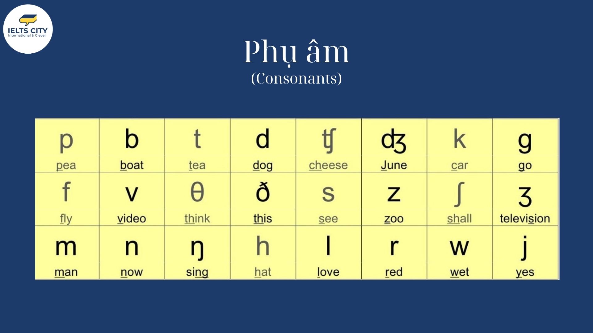Bảng phiên âm IPA là gì? Cách đọc bảng IPA đơn giản và chuẩn nhất