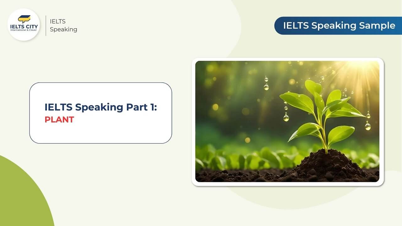 Bài mẫu IELTS Speaking Part 1: Plant