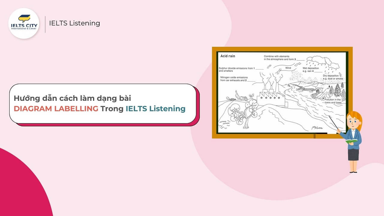 Cách làm Diagram Labelling trong IELTS Listening hiệu quả nhất