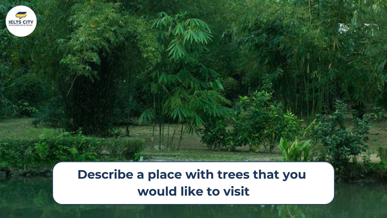Describe a place with trees that you would like to visit | Bài mẫu ...
