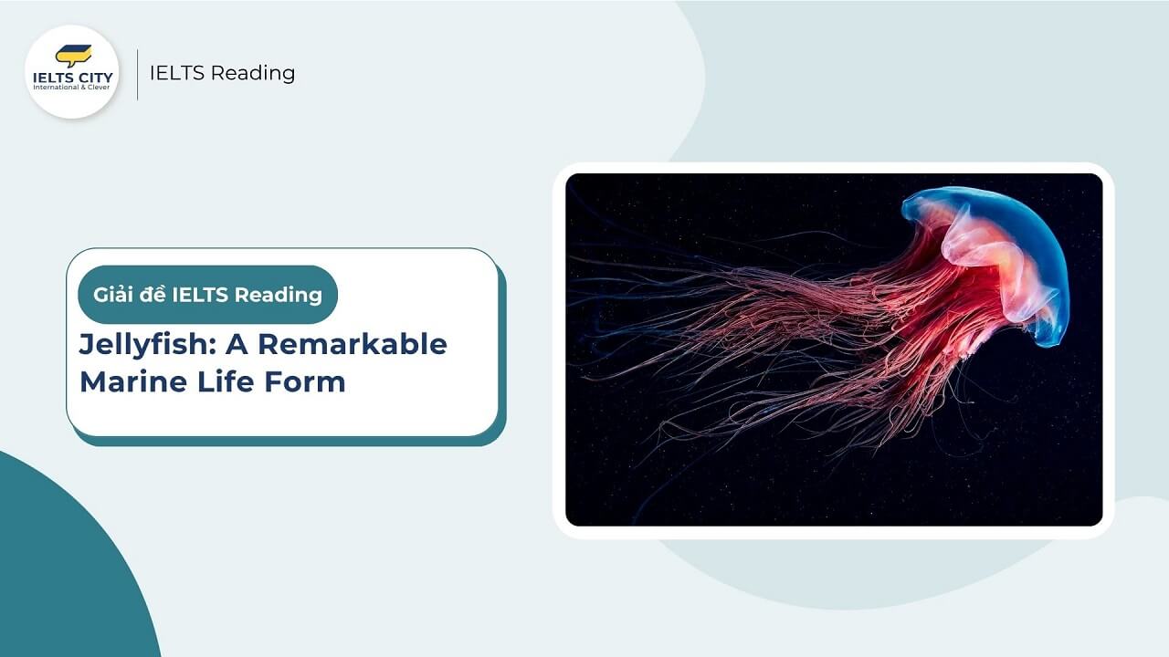 [Đáp án IELTS Reading] Jellyfish: A remarkable marine life form (Giải ...
