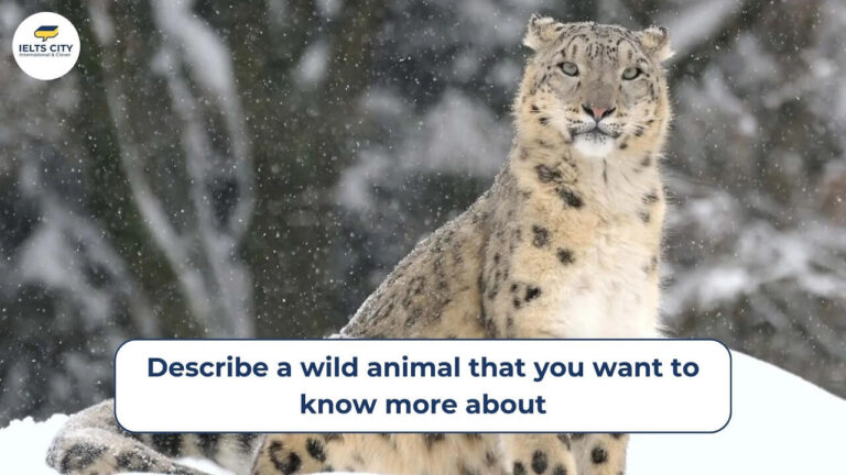 [Bài mẫu Speaking Part 2+3] Describe a wild animal that you want to ...