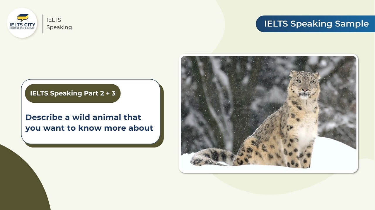 [Bài mẫu Speaking Part 2+3] Describe a wild animal that you want to ...